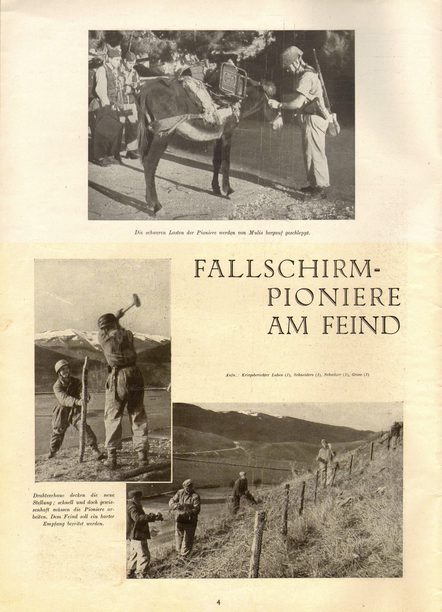 Dal Volturno a Cassino - Fotografie ed immagini (picture 5818)